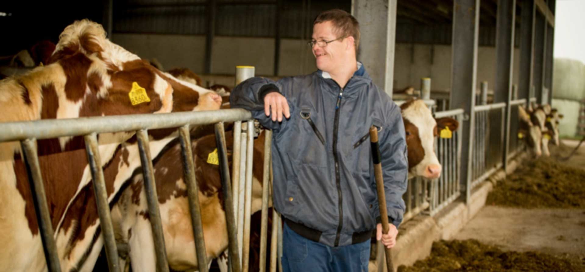 Locatie 't Raakeind - SZZ