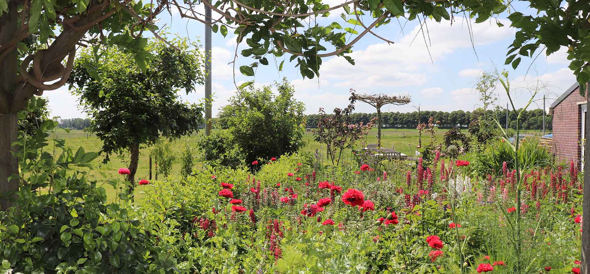 Locatie NAH Zorgatelier de Polder - SZZ