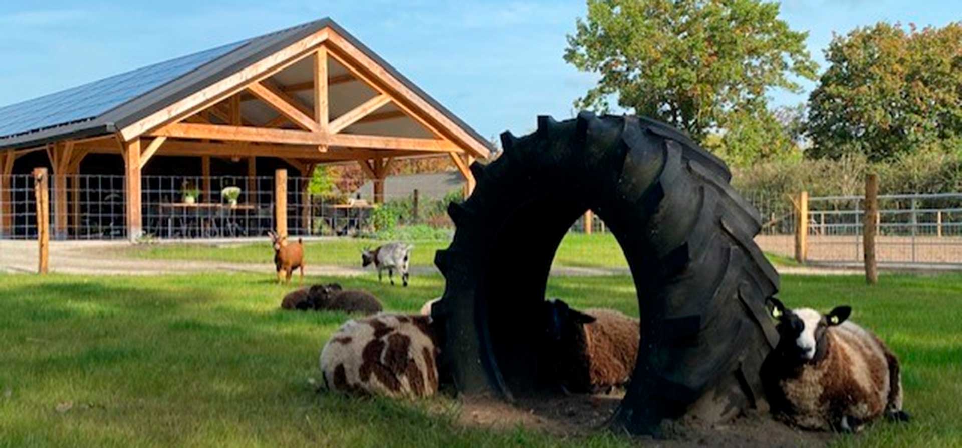 Locatie Ons Thuis - SZZ